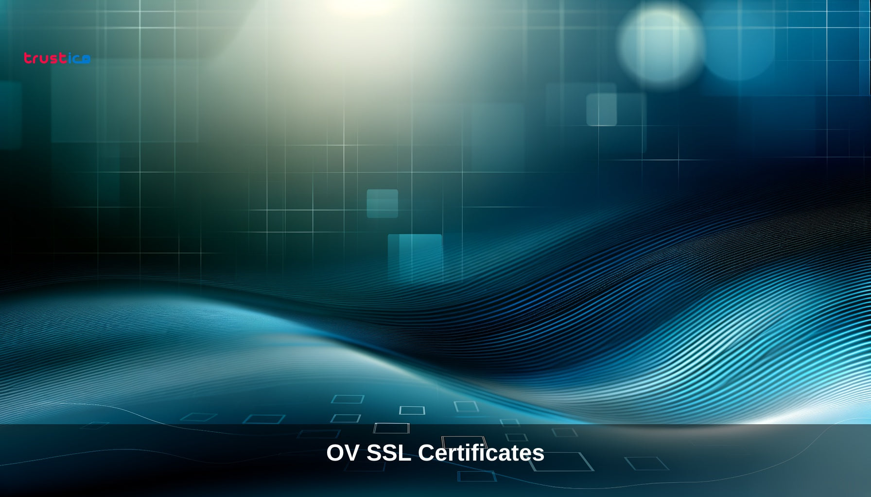 OV SSL Certificates – Trustico® Online Security